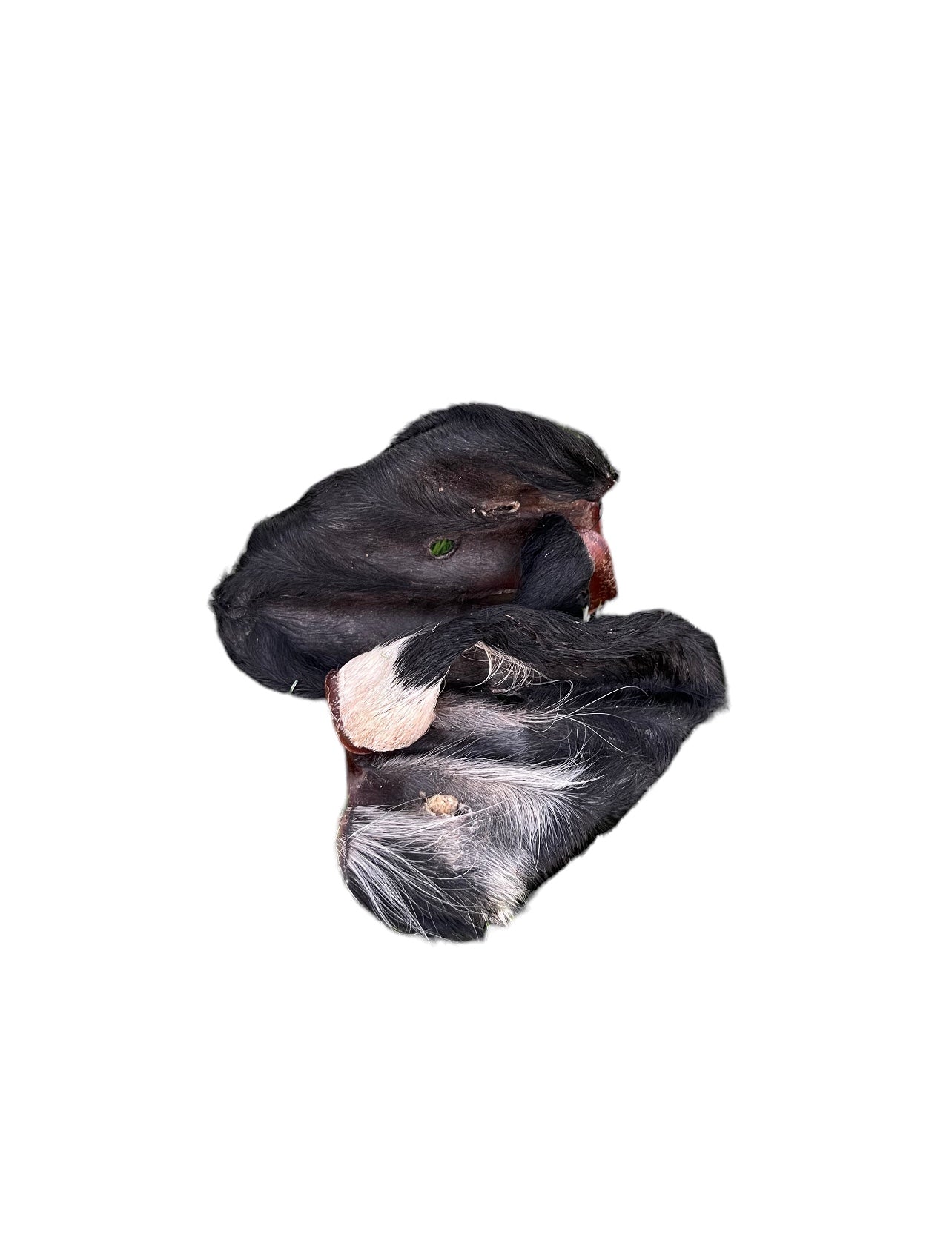 Dehydrated Beef Ears from Ancestral Raw Nutrition