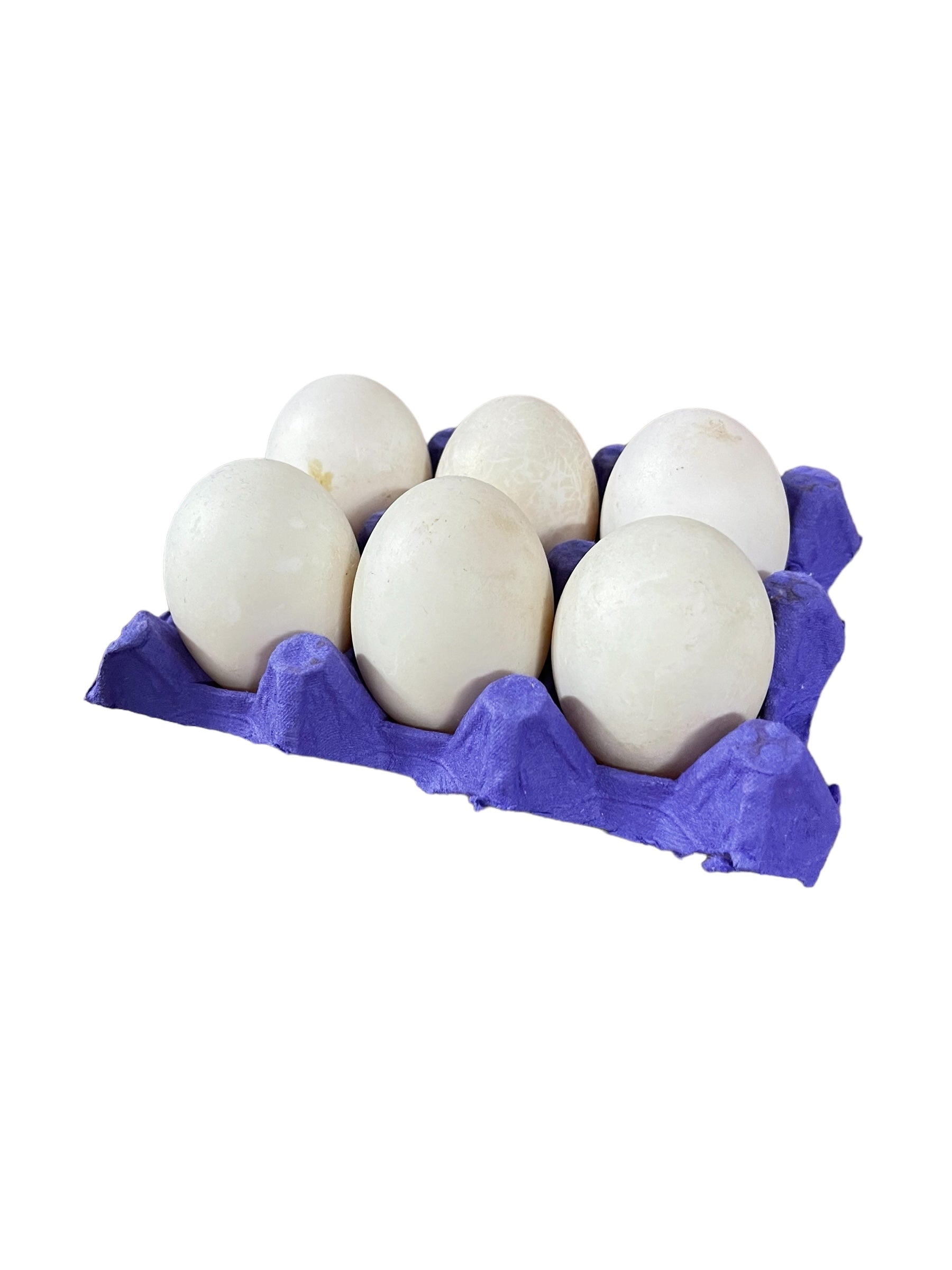 Farm Fresh Duck Eggs from Ancestral Raw Nutrition