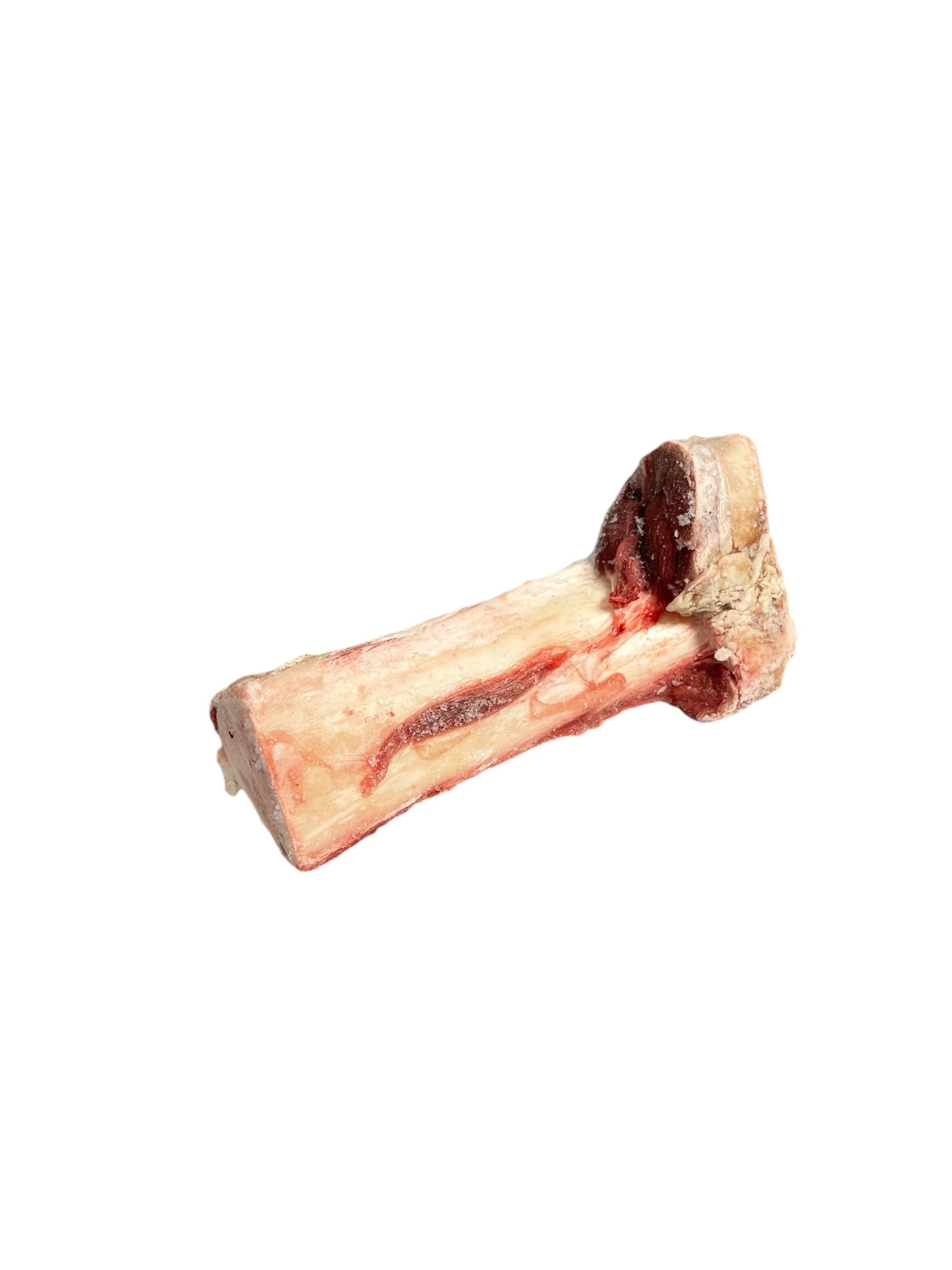 Beef Pipe Bone from Ancestral Raw Nutrition
